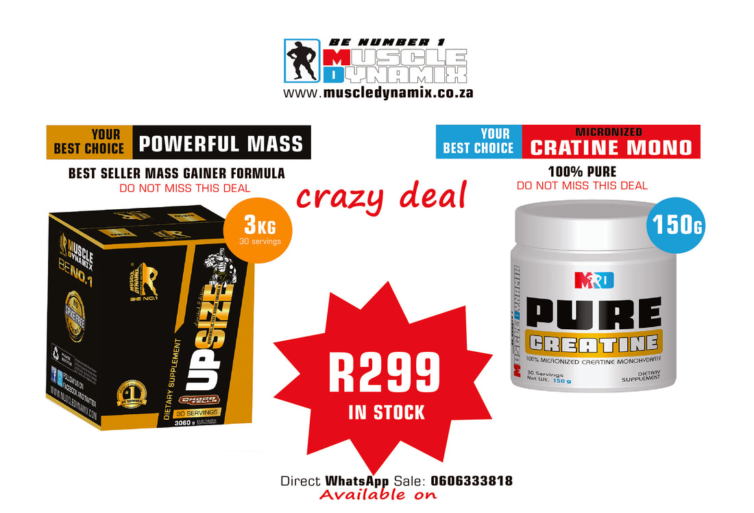 Muscle Dynamix